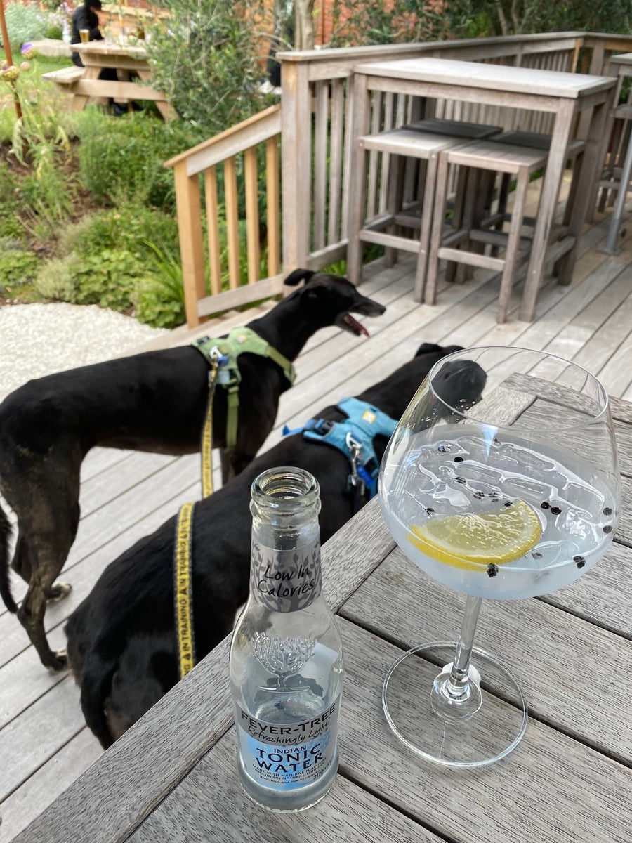 Animal Welfare Donations. – Vicar's Son Gin